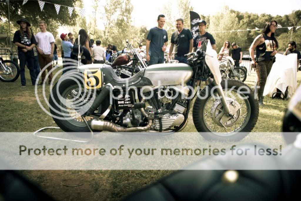 Born Free 5 winner - Noise Cycles bike | Jockey Journal Forum