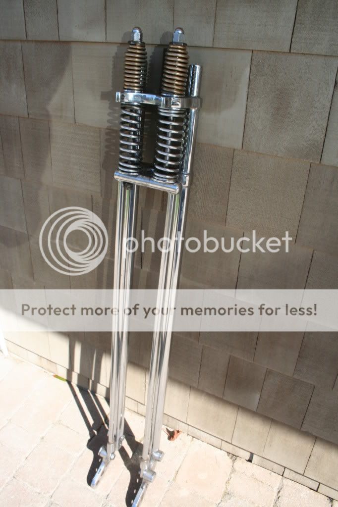 The designated springer ID thread | Page 11 | Jockey Journal Forum