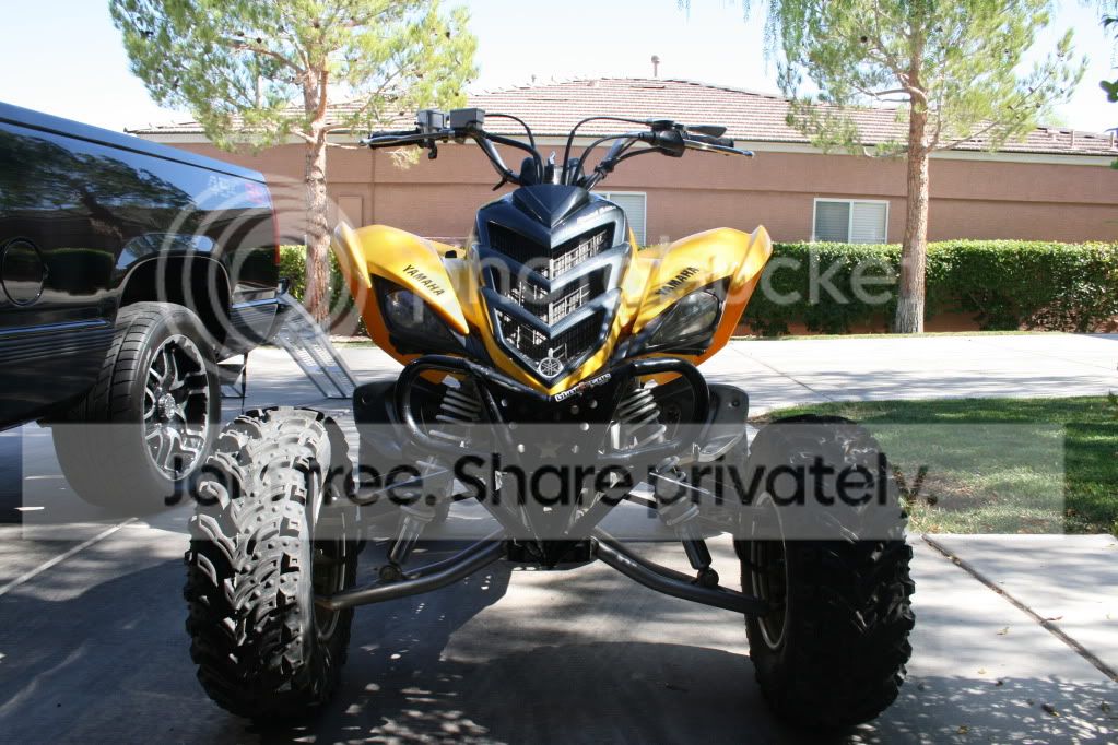 yellow raptor pics!! | Raptor Forum